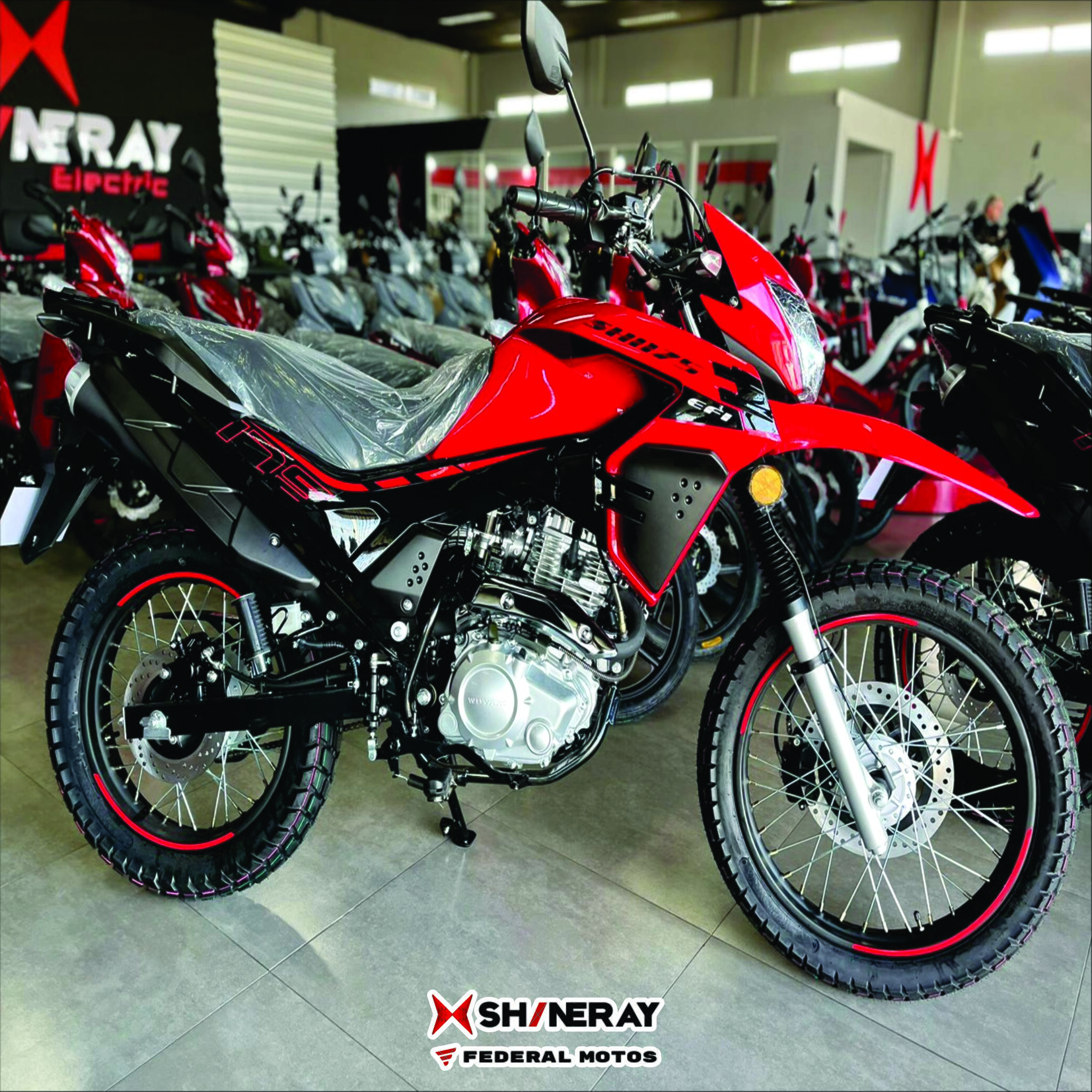 SHI 175 EFI 0km - Shineray em Fortaleza | Federal Motos Concessionária ...