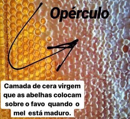 Comprar Cera de Opérculo 100g - a partir de R$23,65 - iNatura ...