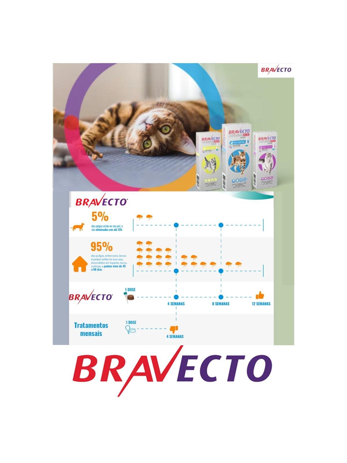 Comprar Antipulgas e Carrapatos Bravecto MSD Plus Transdermal para Gatos de 6,25 a 12,5kg - 1 ...