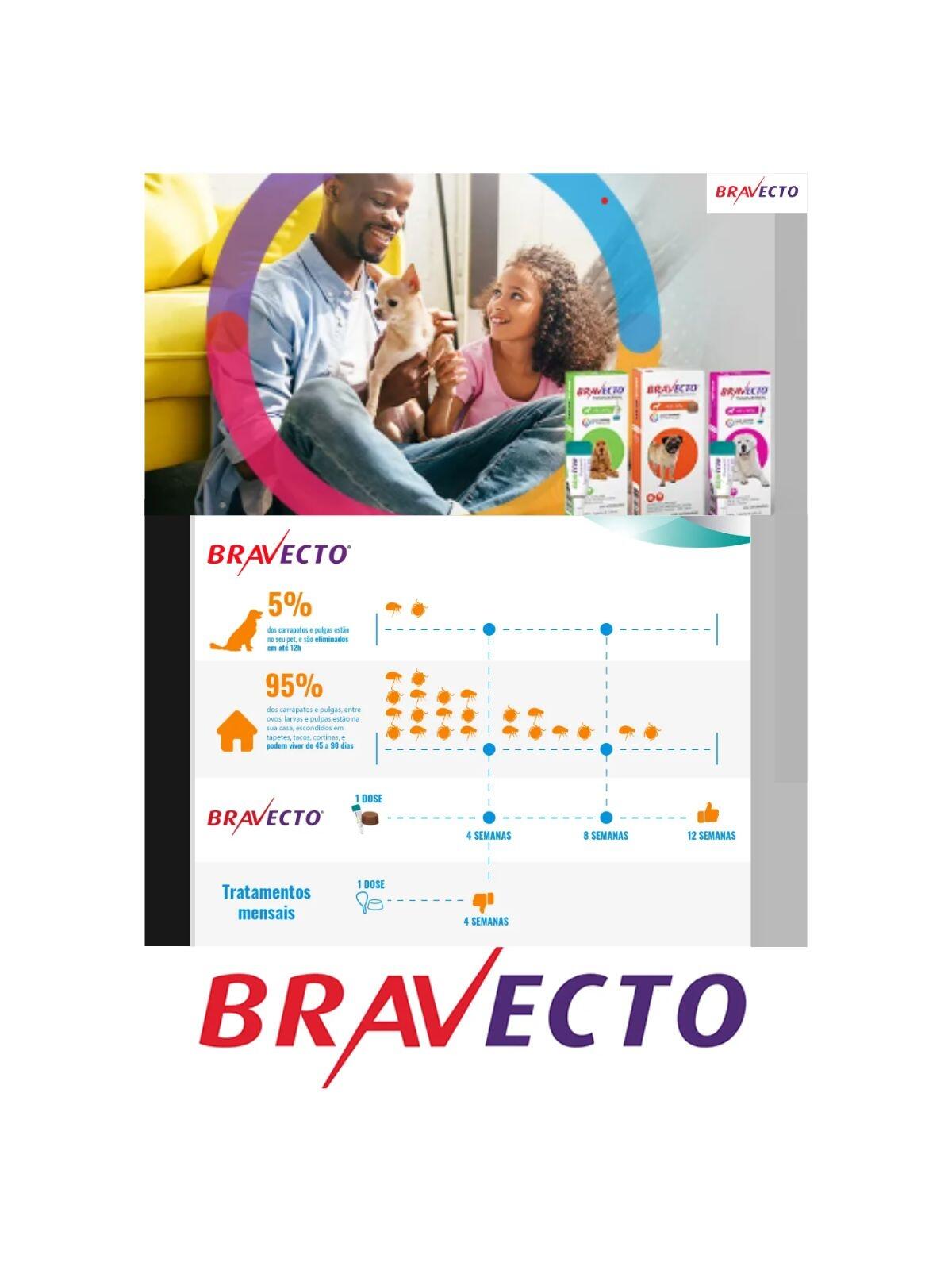 Antipulgas e Carrapatos Bravecto MSD Transdermal para Cães de 10 a 20kg ...