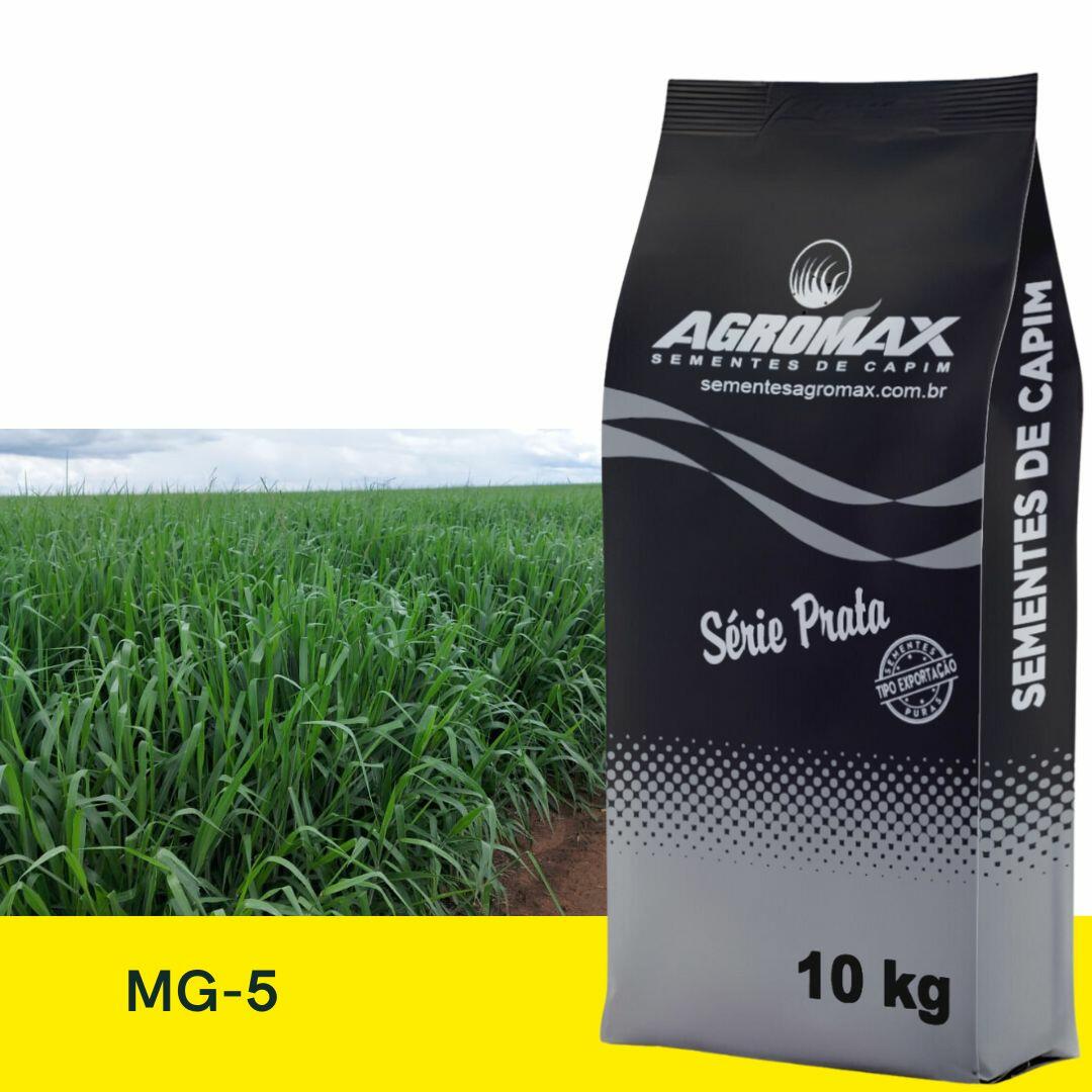Sementes de Capim Brachiaria MG5 Peletizadas 10kg - R$236,00