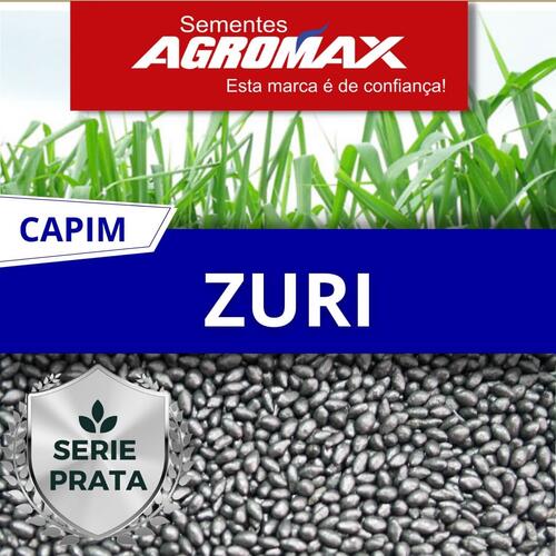 Comprar MIX - BRAQUIARIAS e PANICUNS - saca com 10 kg - suficiente para ...