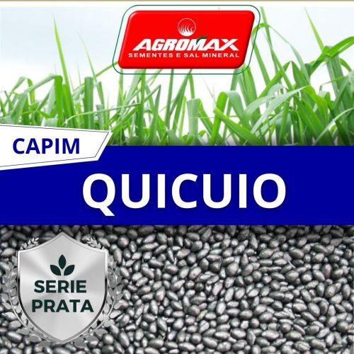 Capim Brachiaria Humidicola Quicuio - Ideal para áreas úmidas - R$799,00