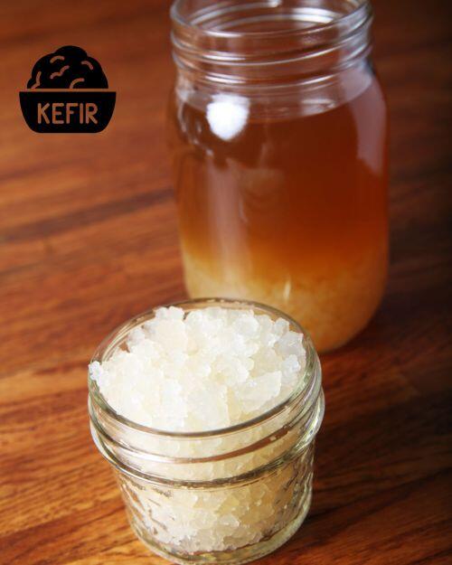 grão de kefir - R$200,00