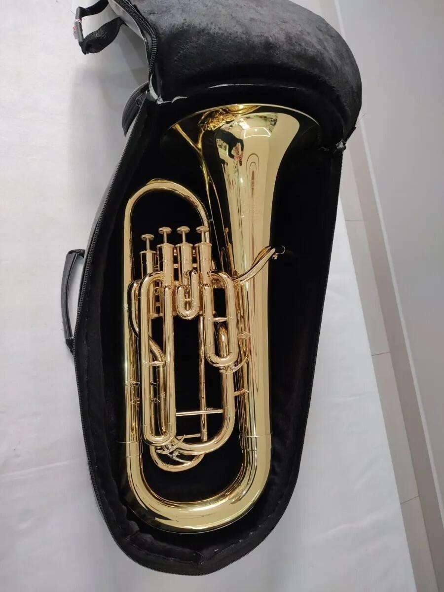 Comprar Eufônio HS HF890 Sib Profissional - a partir de R$11.067,00