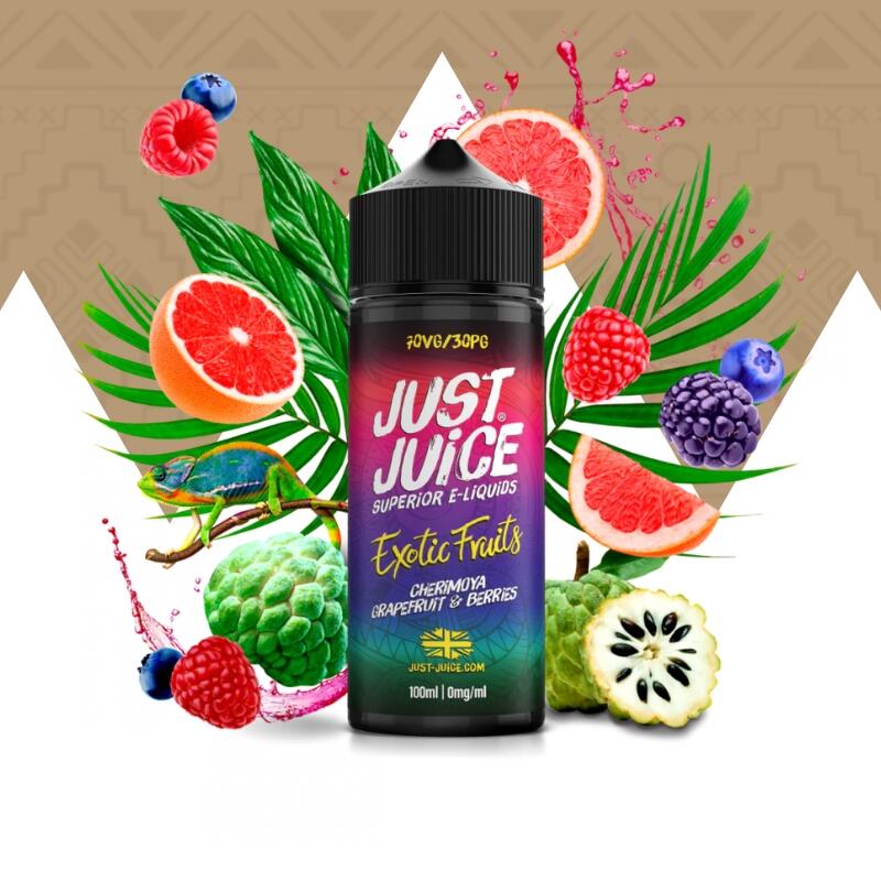 Guia completo do juice: cuidados, técnicas, sabores e consistências