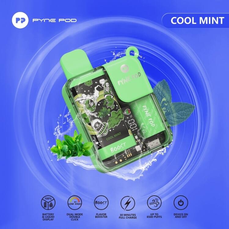 Pyne: Pod Descartável Pyne 8500