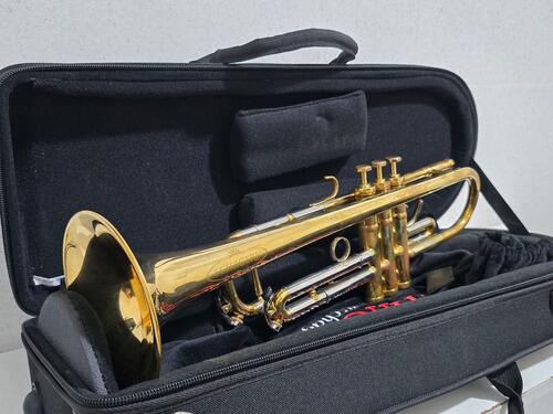 Comprar Trompete Schagerl 9891 Dourado Usa Semi Novo Ref: 891 - a ...