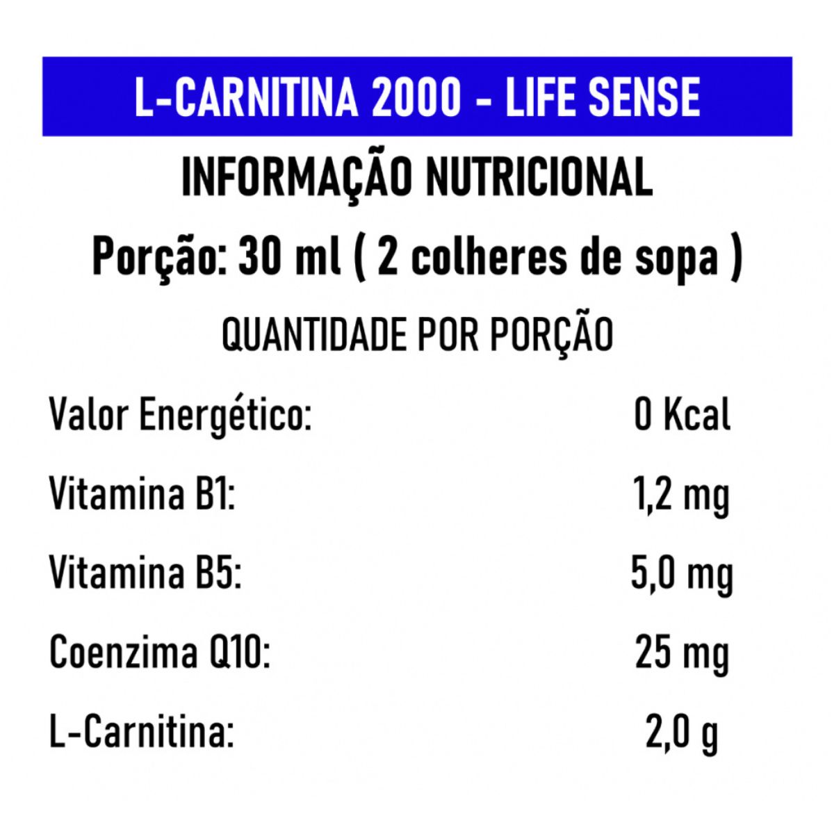 Comprar Suplemento Alimentar L-Carnitina 2000 480ml - Life Sense - R$70,00 - Bem Saúde Suplementos