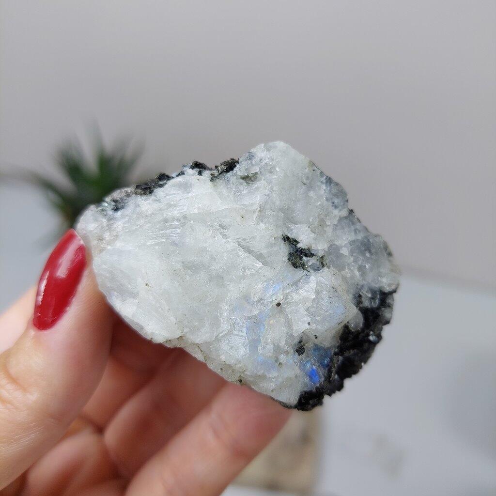 Comprar Pedra da Lua Natural Bruto 25 a 35 gr aprox. - a partir de R$24 ...