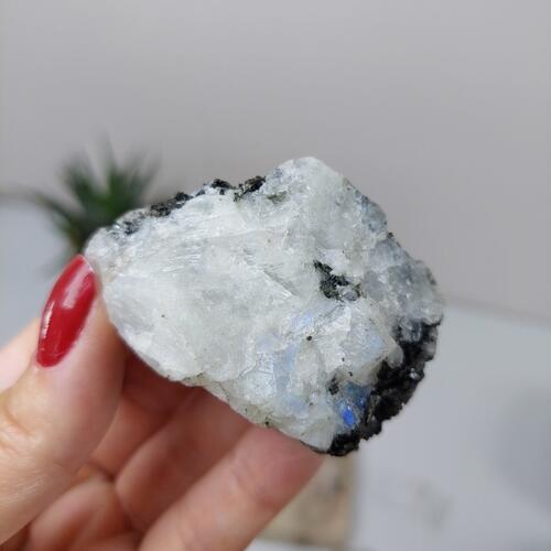 Comprar Pedra da Lua Natural Bruto 25 a 35 gr aprox. - a partir de R$24,60 - SAJ Cristais ...