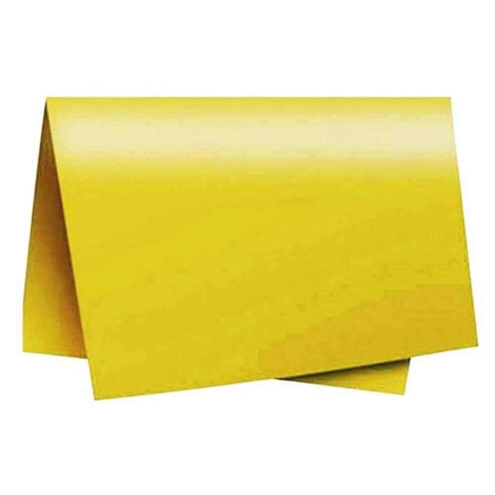Papel Cartolina Dupla Face (48x66cm)