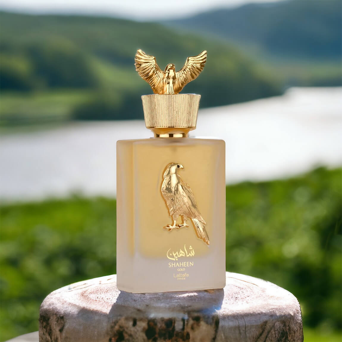 Comprar Perfume Lattafa Shaheen Gold - 100ml - a partir de R$215,50 ...