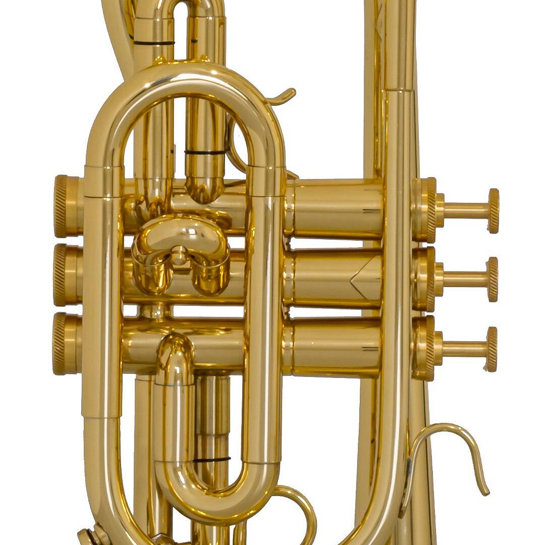 Comprar Cornet Hs Musical HS1020 - a partir de R$5.129,99