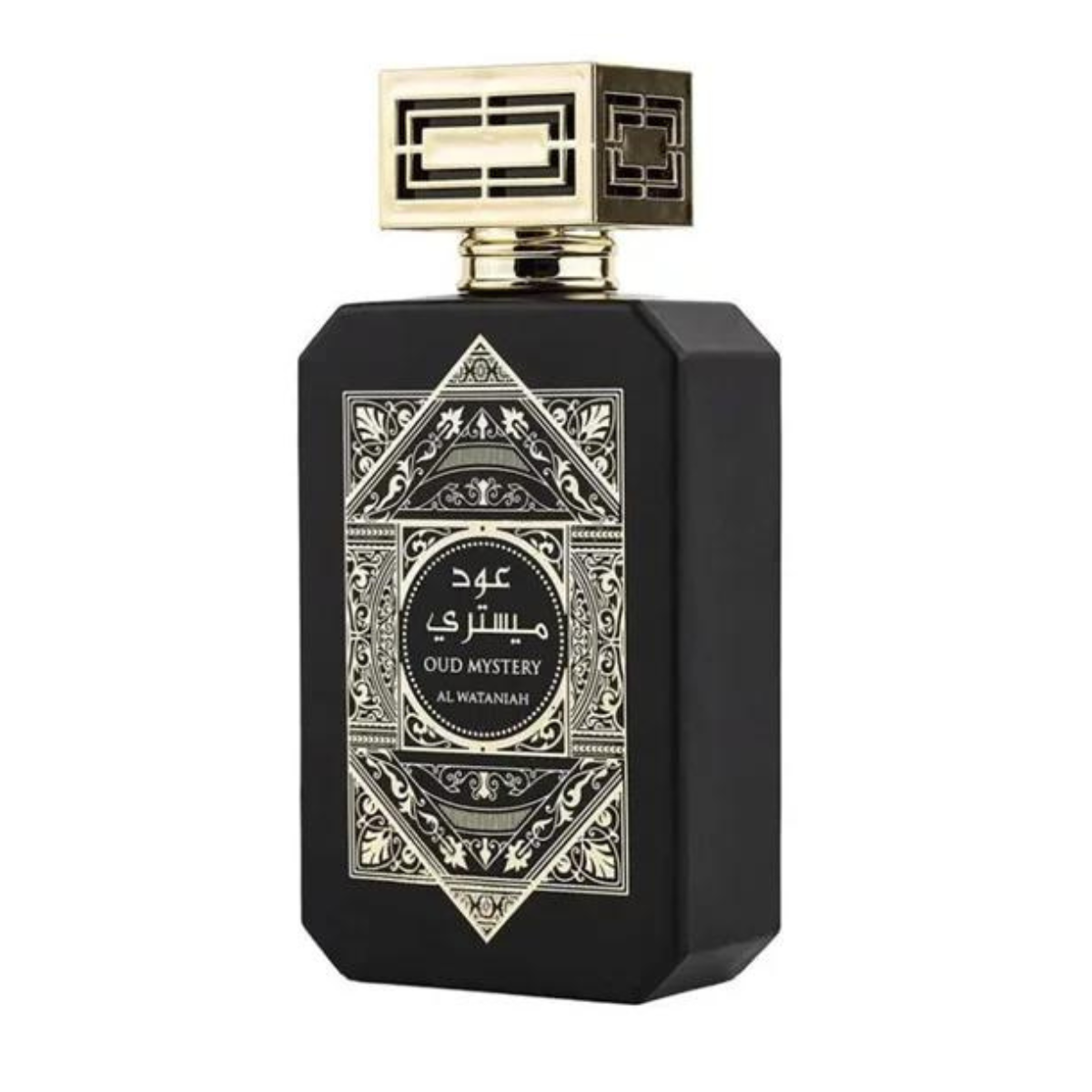 Comprar Oud Mystery Al Wataniah Eau de Parfum 100ml Masculino - onuh distribuidora