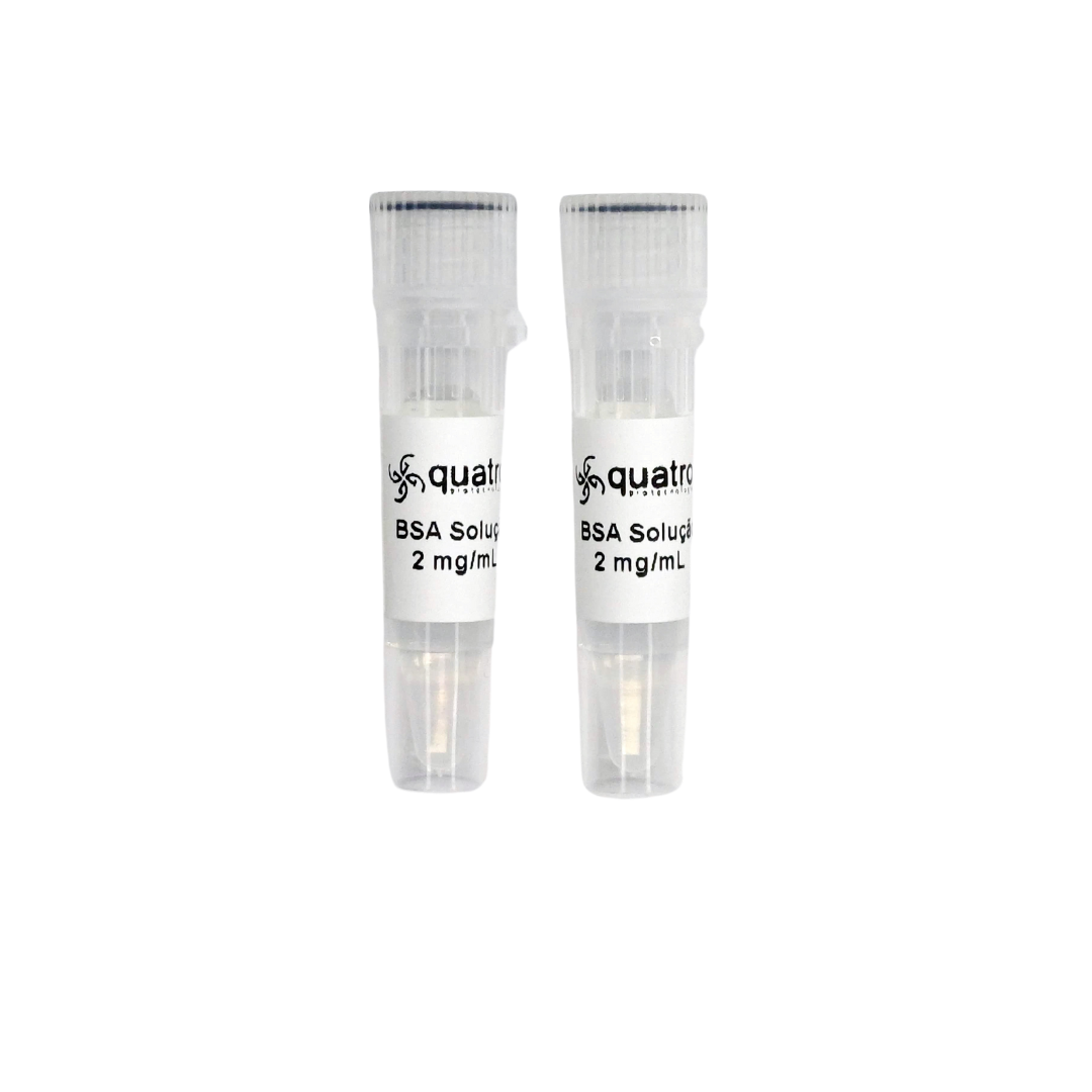 BSA Solução 2 mg/mL