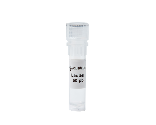 Ladder 50 pb - Quatro G Biotecnologia