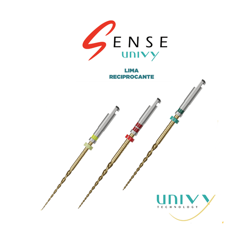 Comprar Lima Univy 3 (C/6 Unidades) - Univy - Dental Paiva