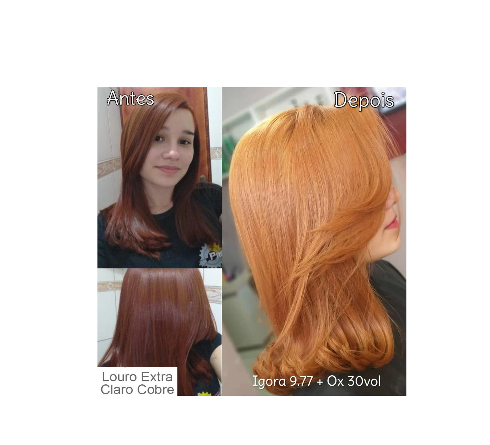 Comprar Coloração Igora Royal - Louro Escuro Cobre 6.77 - DATACOMM