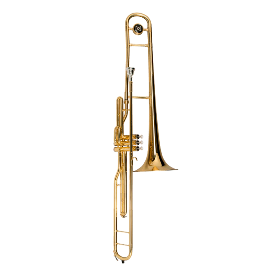 Comprar TROMBONE MICHAEL WTPM35N PISTO