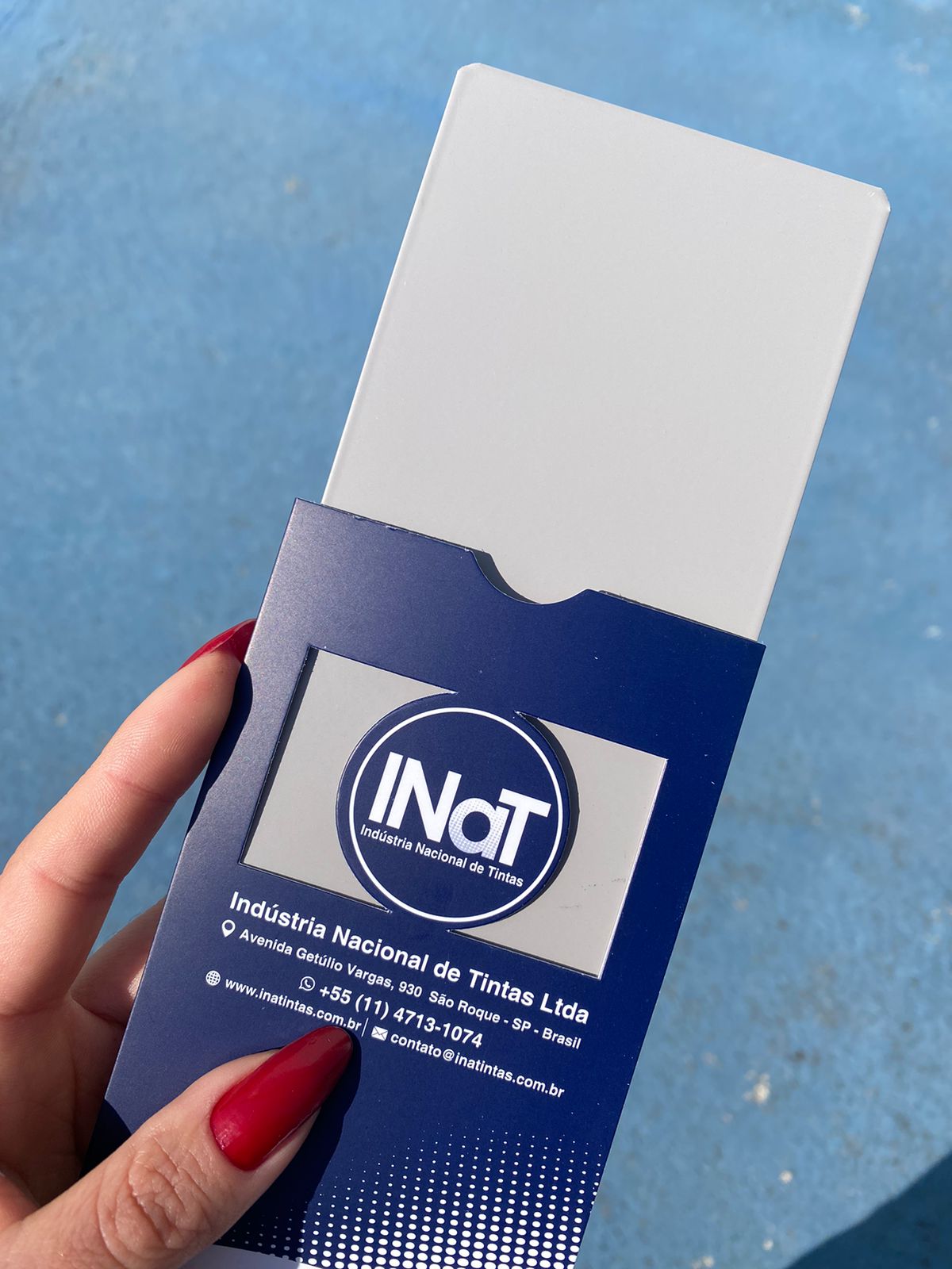 Cinza Platina -RAL 7036 - Inatintas