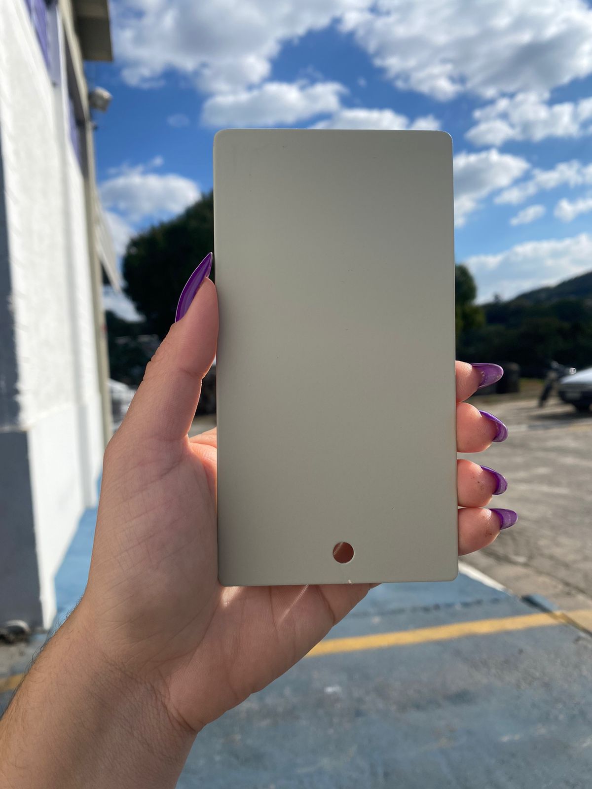 Cinza Lasca - RAL 7032 - Inatintas