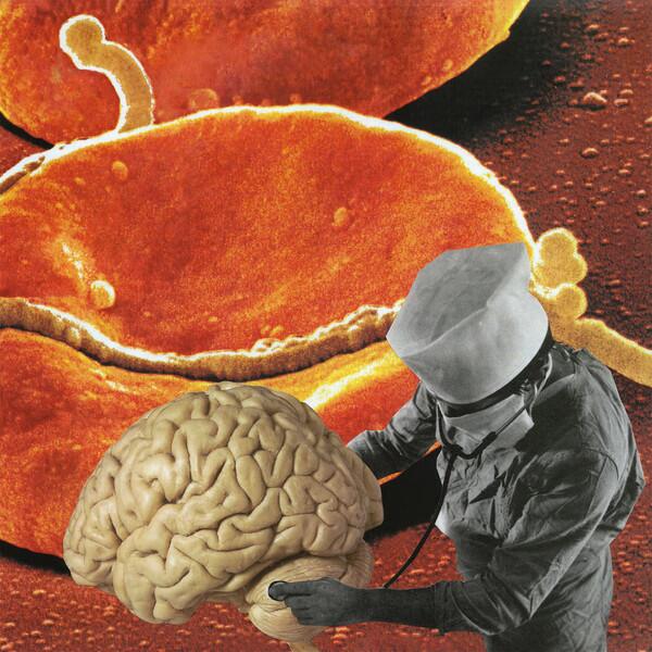 Comprar ANVIL FX - Estado de Choque - R$210,00 - SKYLAB MUSIC STORE