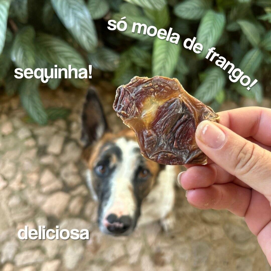 Moela de frango desidratada, moelinha, moela petnaturau - a partir de R ...