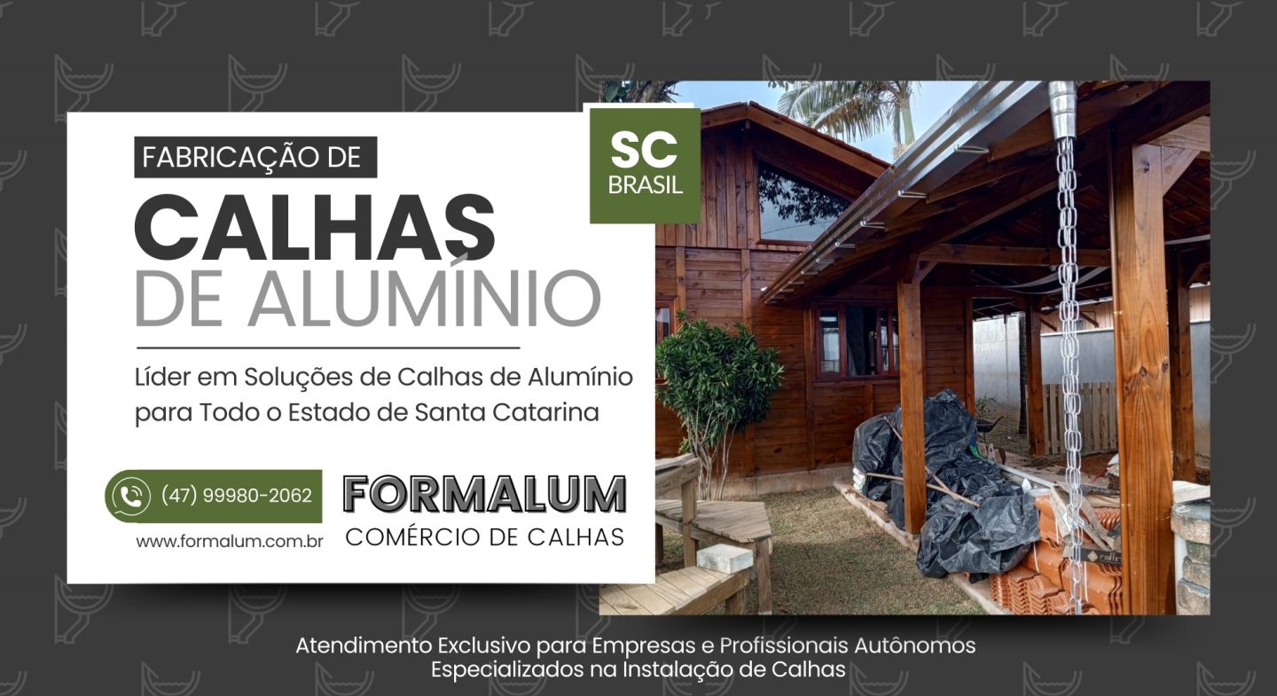 Como Desentupir Sua Calha de Forma Rápida e Eficiente