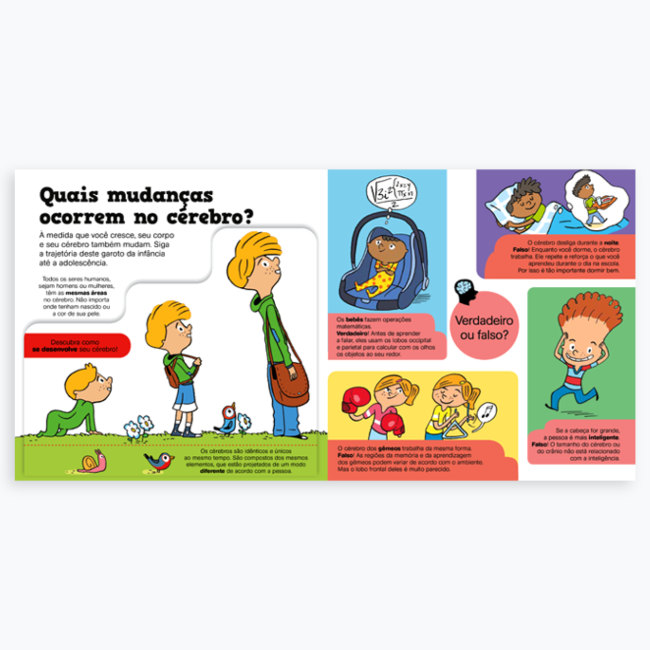 Pequenos Curiosos - Conheça seu Cérebro | Majoca Colorê