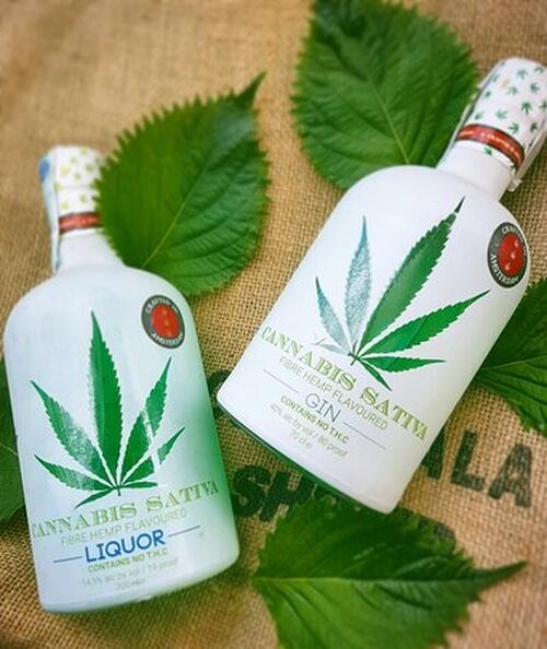 Gin Sativa Cannabis