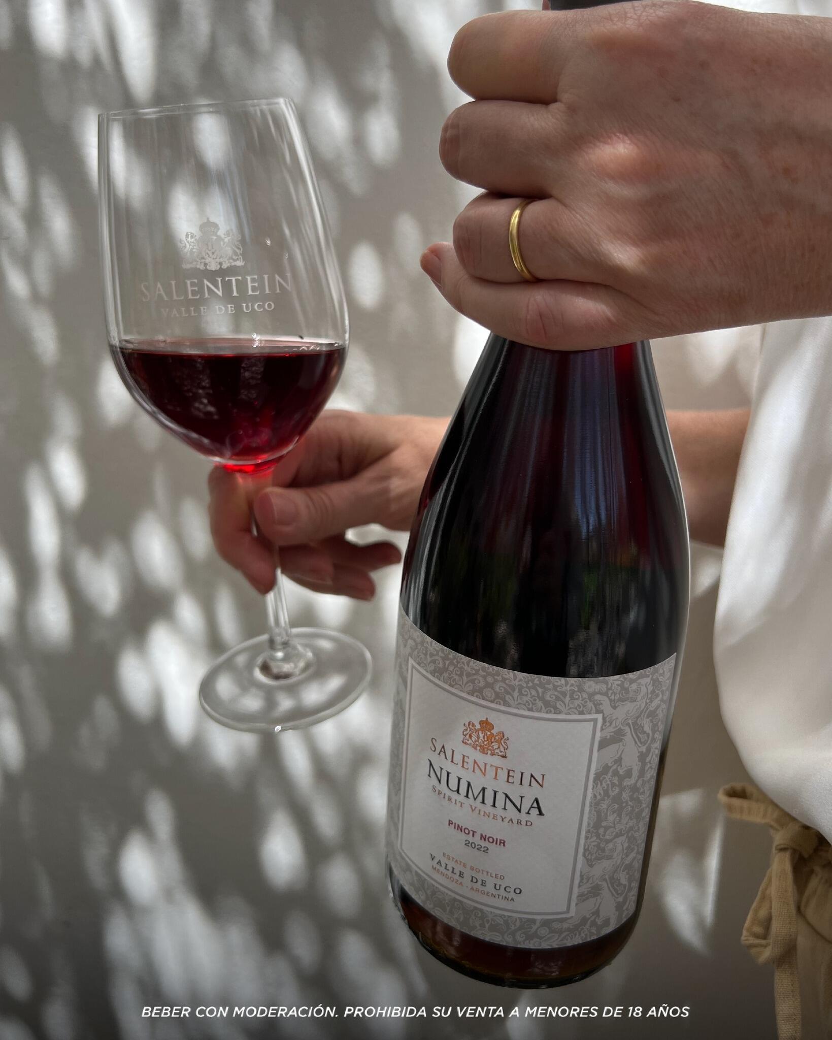 Comprar Vinho Salentein Numina Pinot Noir - 750ml - Importados ...