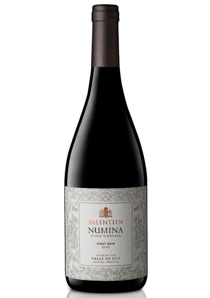 Comprar Vinho Salentein Numina Pinot Noir - 750ml - Importados ...