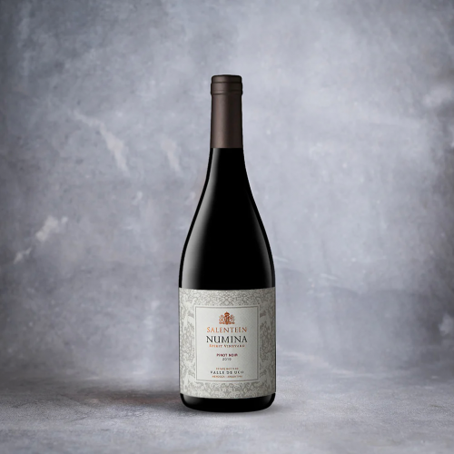 Comprar Vinho Salentein Numina Pinot Noir - 750ml - Importados ...