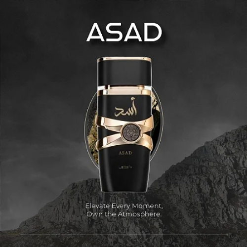 Comprar Perfume Árabe Lattafa Asad - Eau de Parfum - 100ml - Importados | Perfumes | Bebidas ...