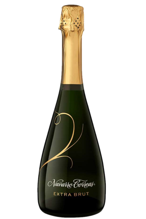 Comprar Espumante Navarro Correa Extra Brut - 750ml - Importados ...