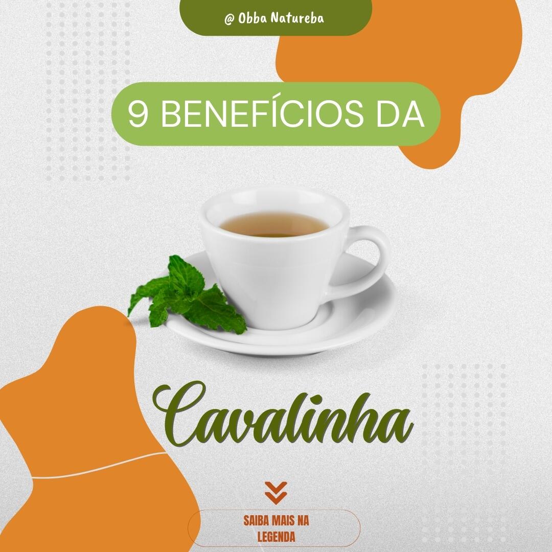 O chá de cavalinha é uma infusão de uma planta chamada cavalinha ...