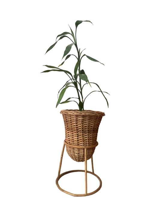 Comprar Mini Cachepô para Plantas Internas