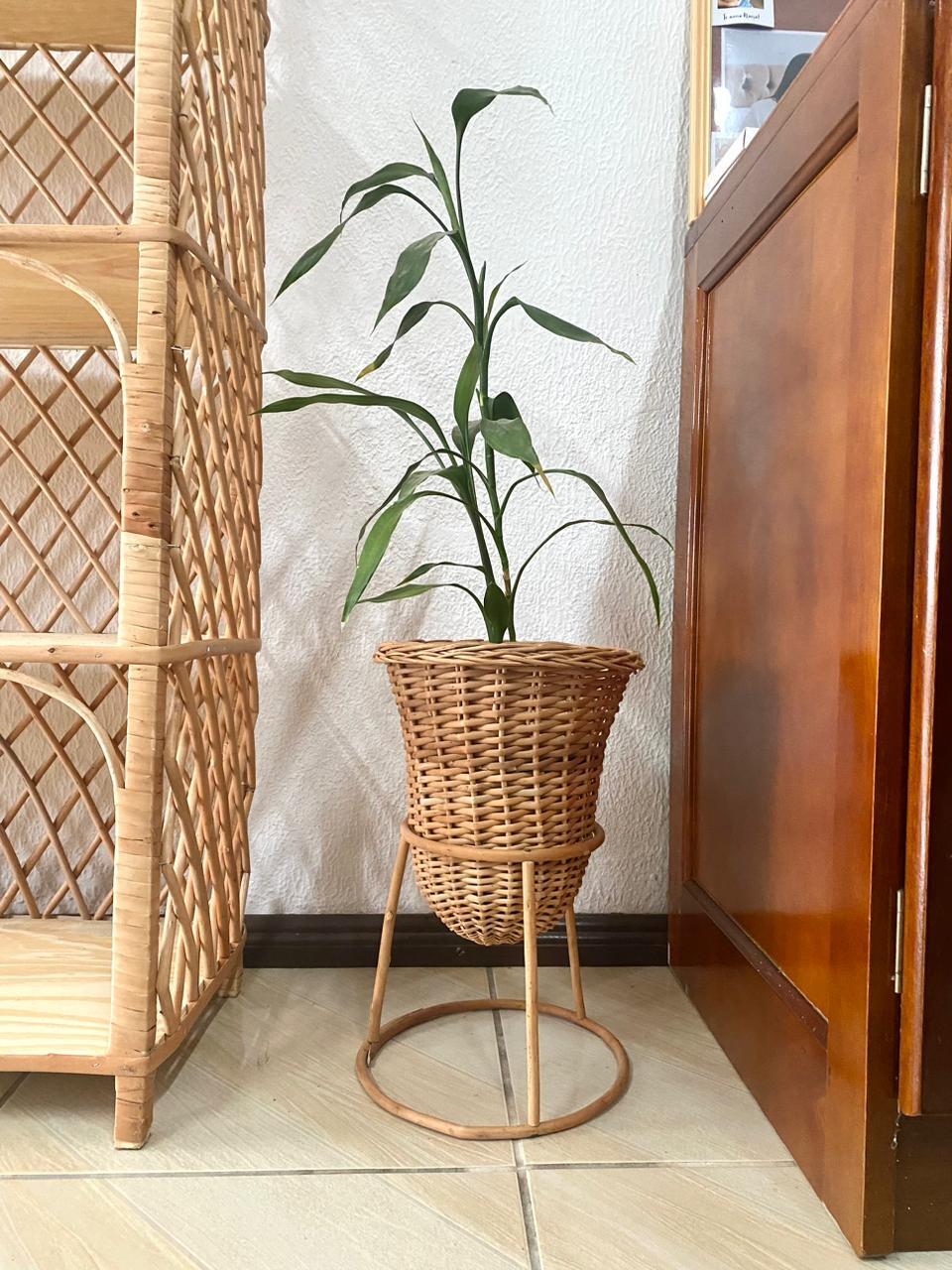 Comprar Mini Cachepô para Plantas Internas