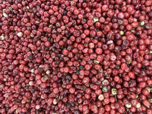 Comprar Pimenta rosa em grãos - de R$4,50 a R$44,99 - Celeiro do Rei