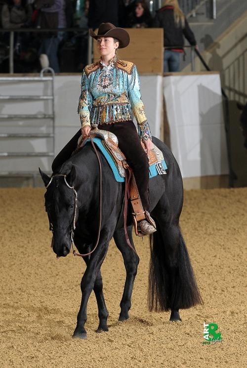 O Bravio Espírito de Midnight, o Cavalo Mais Famoso do Mundo dos ...