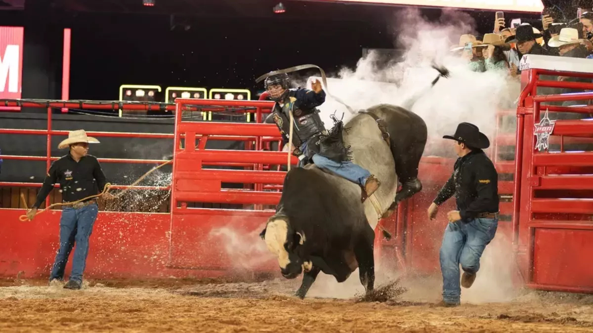 Reza a Lenda: A História do Touro que Deixou sua Marca nas Arenas do ...