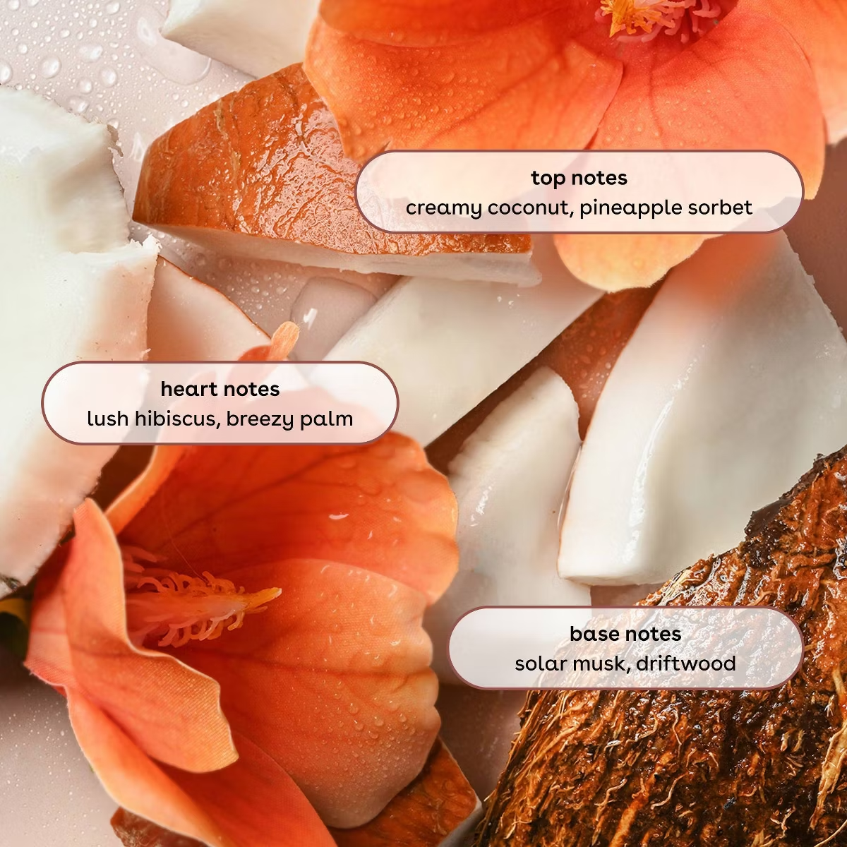 Comprar EOS - BODY MIST COCONUT WATERS - R$169,00