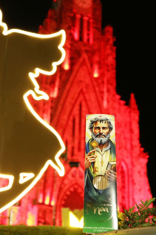 Comprar 566 SÃO PEDRO - R$24,90 - nossoorientearomas