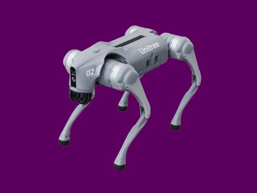 Comprar Robô Go2 Pro - Unitree - a partir de R$42.465,00 - Alta ...
