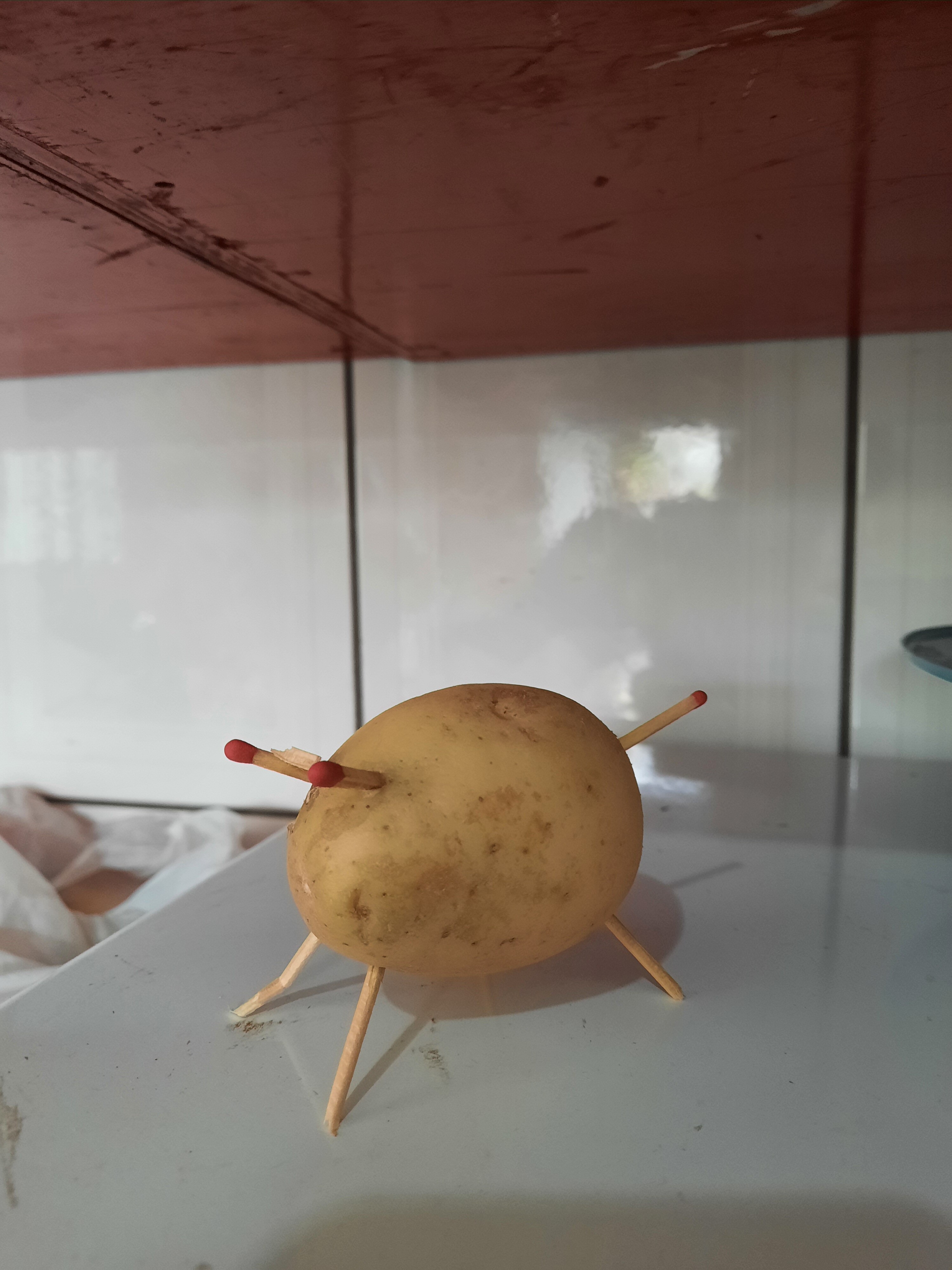 Sobre nós - Bicho Batata - Pra Quem Tem Fome de Brincar