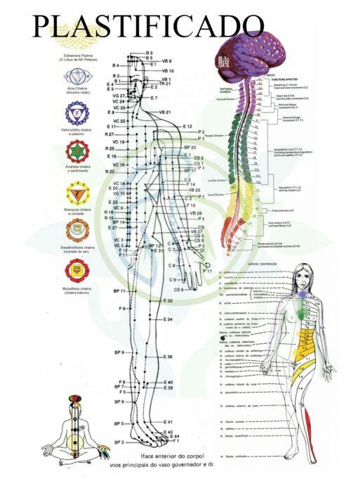 Comprar Mapa Meridianos Dos Chakras Principais Pontos Frente E Verso ...