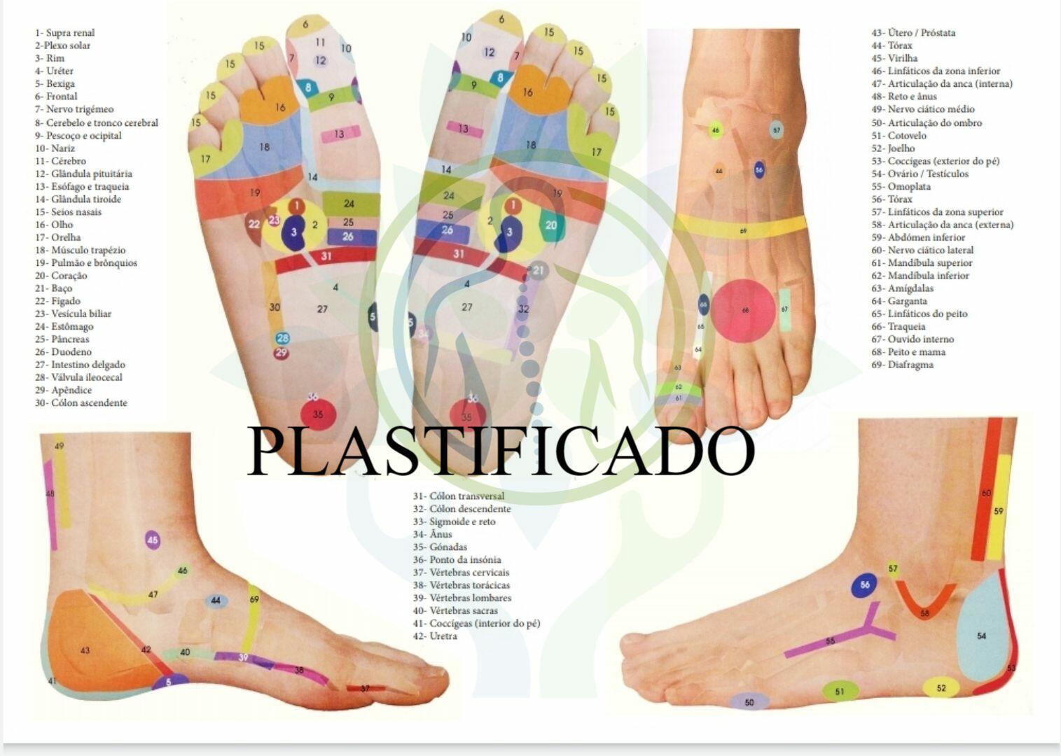 Comprar Mapa Reflexologia Podal Oriental 69 Pontos Em 5 Ângulos ...