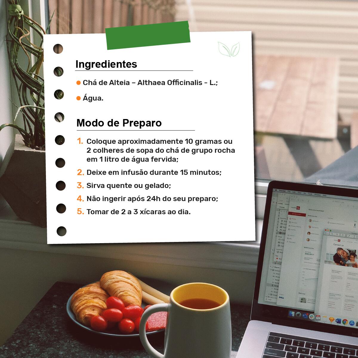 Chá de Alteia - Grupo Rocha Saúde. - de R$33,07 a R$124,19