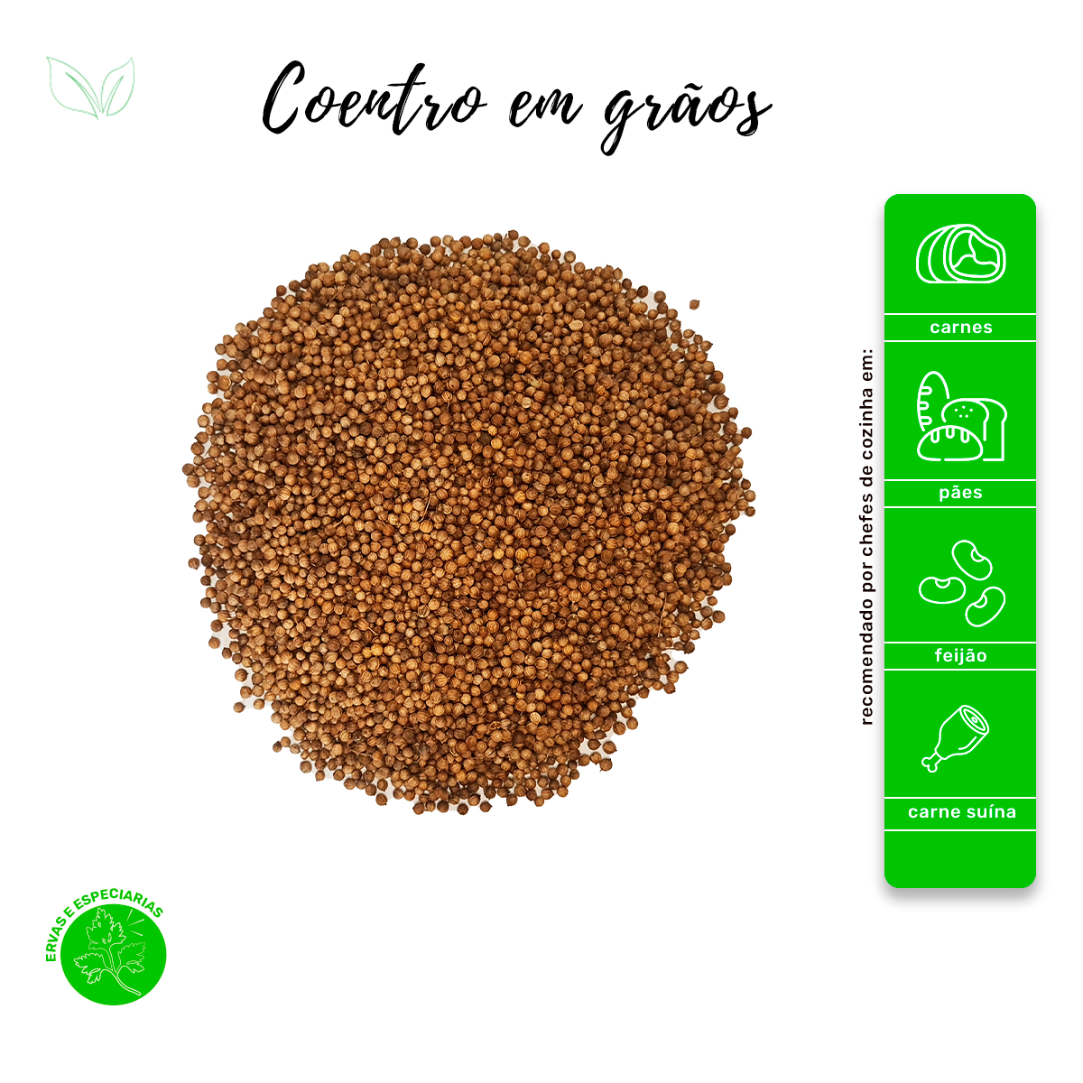 Coentro em Grãos 40g Pouch | Grupo Rocha Saude - a partir de R$13,20